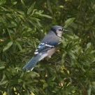 HP, Dell quietly disable HEVC on certain laptops over minute license ...