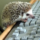 Apple releases Containerization, a Swift package for running Linux containers on macOS – OSnews